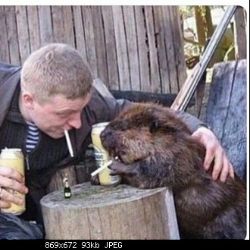 Иконка канала НП