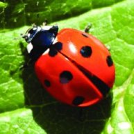 Иконка канала RV9CX