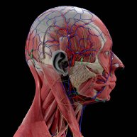 Иконка канала Наш Пирогов