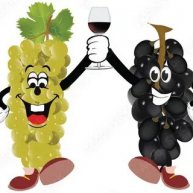 Иконка канала Vinogradinki🍇🍇🍇