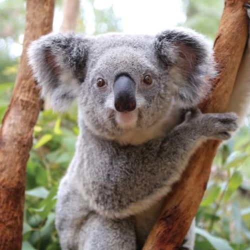 Иконка канала Степанов Антон