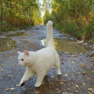 Иконка канала 😺💜SaHAa286💜😺🥳зима🥳☜(゚ヮ゚☜)