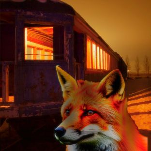 Иконка канала fox's pub