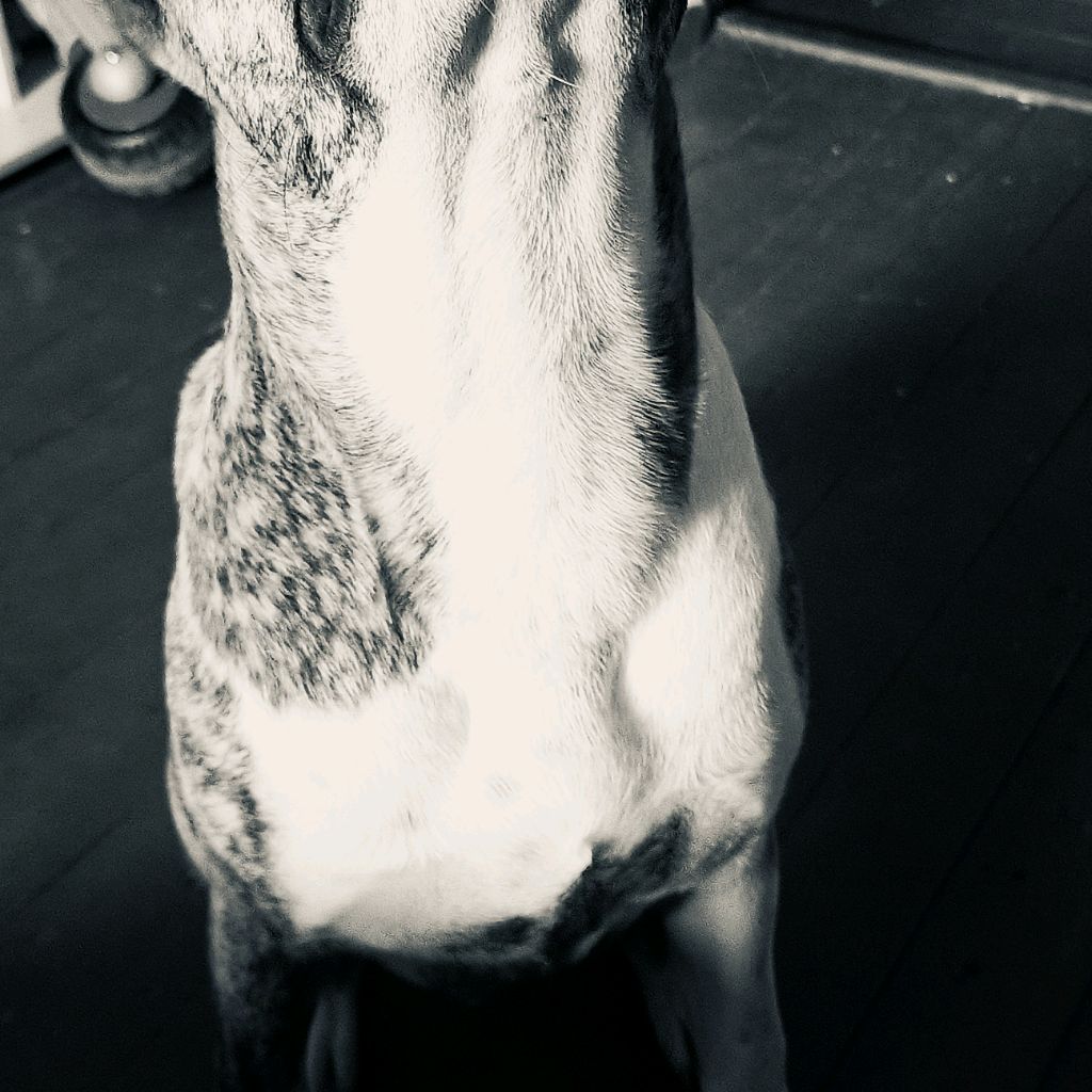 Иконка канала Амстафф Тор