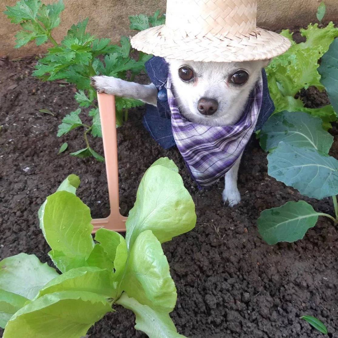 Иконка канала channel27898966_такой весь новый такой весь класс