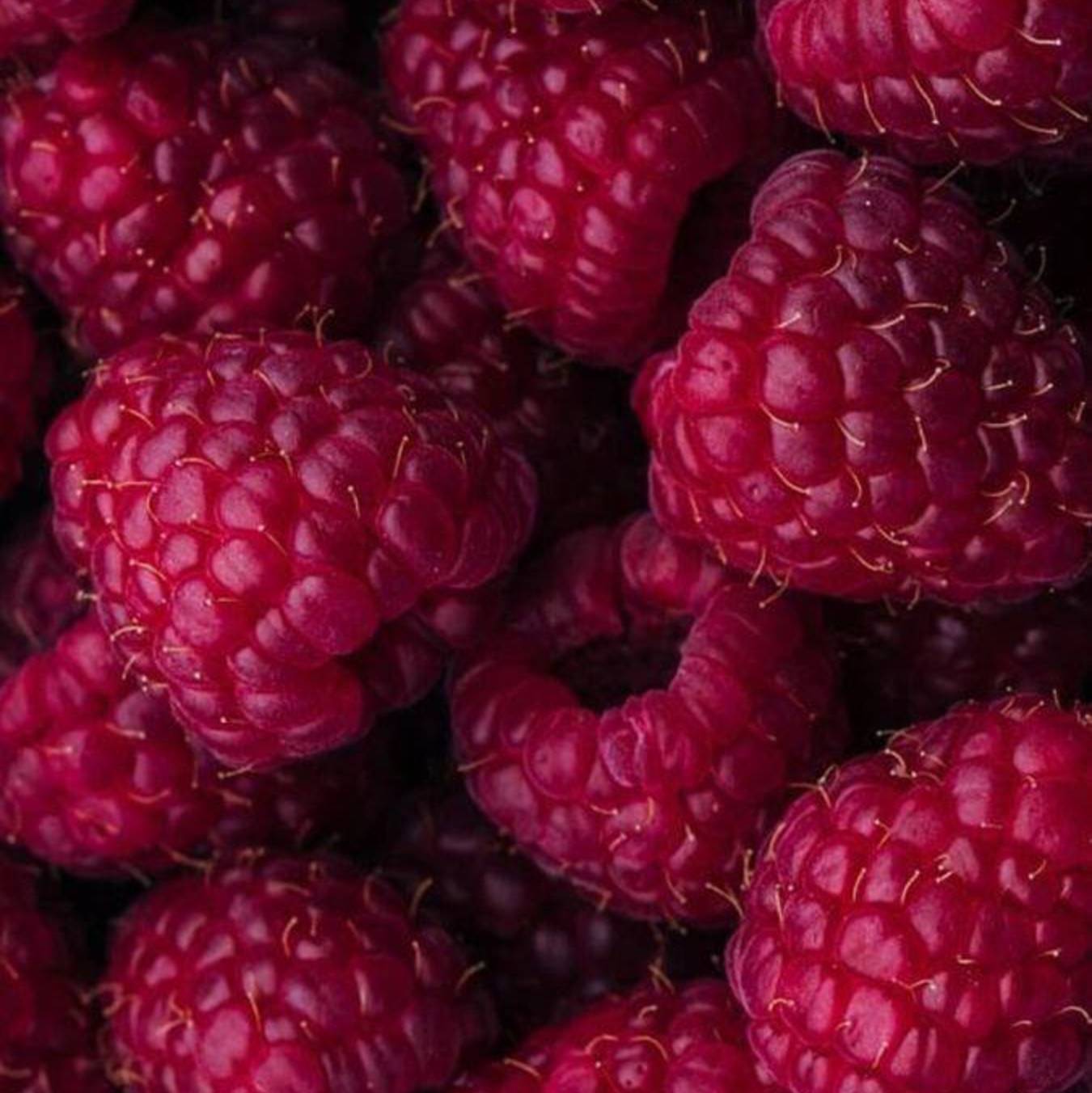 Иконка канала Woodturning 3D