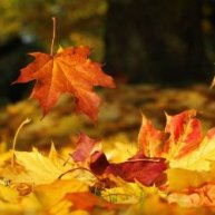 Иконка канала Дарья Мессинёва