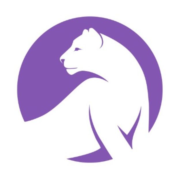 Иконка канала Театральная студия Ирбис