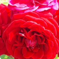 Иконка канала Ремонт Дома Своими Руками