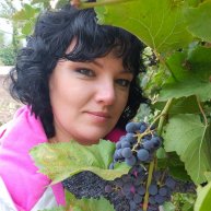 Иконка канала Кудрявый Ветер