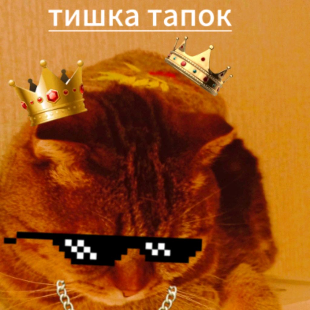 Иконка канала Тишка тапок