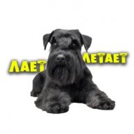 Иконка канала ЛаетЛетает