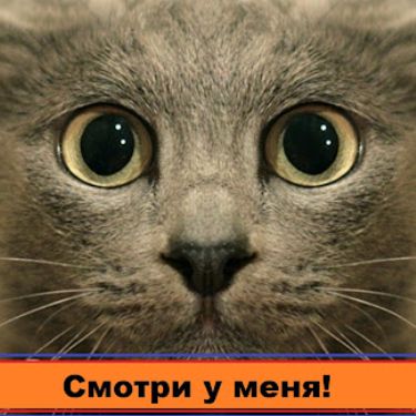 Иконка канала Смотри у меня!