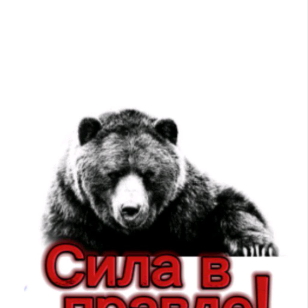Иконка канала Сила в правде!