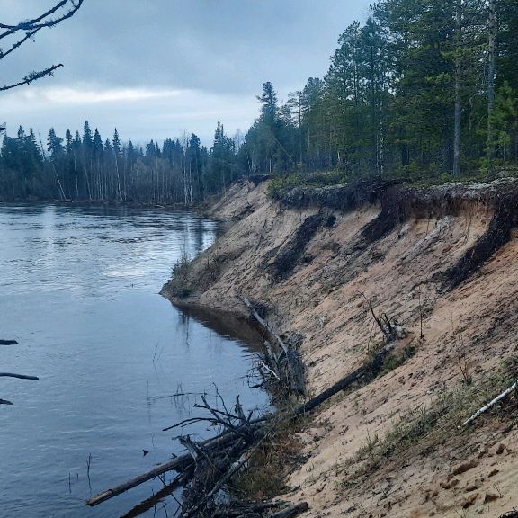 Иконка канала «Охотник-Рыбак89»