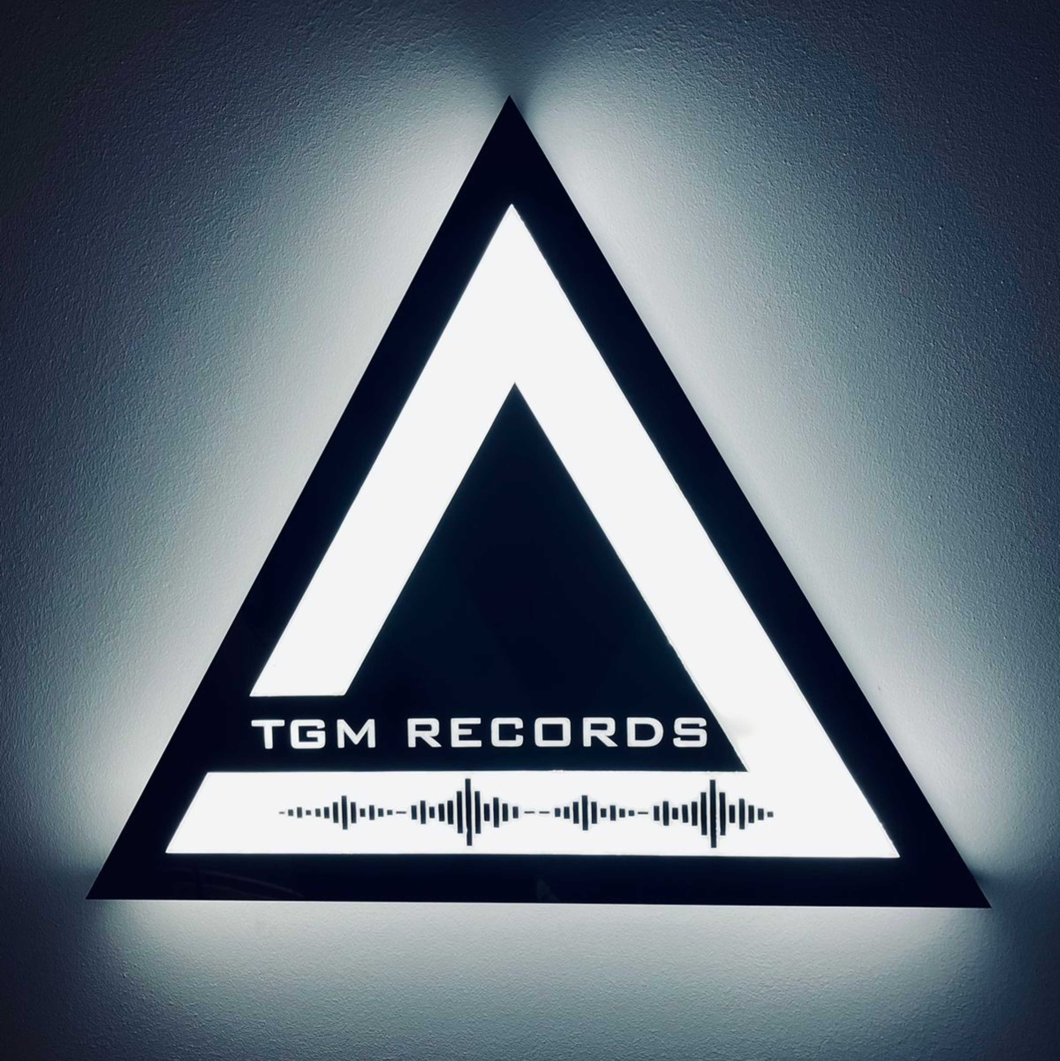 Иконка канала TGM Records