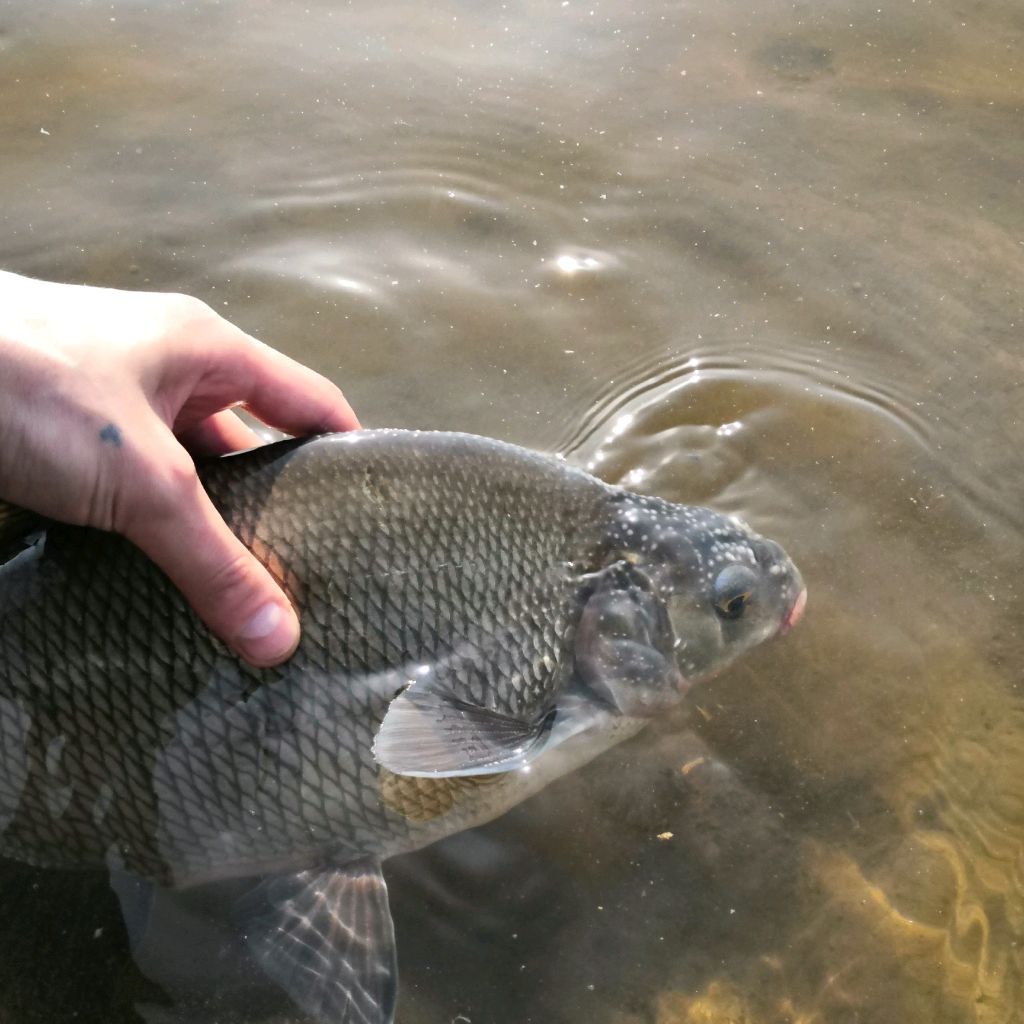 Иконка канала Fishzone