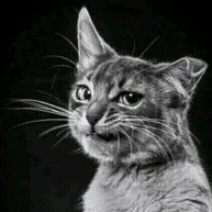 Иконка канала МУЗЫКАНТА ДЛЯ