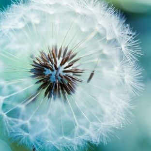 Иконка канала Ольга Герасимова