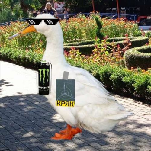 Иконка канала БАНДА КРЯКОВ