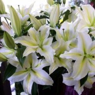 Иконка канала ИНТЕРЕСНЫЕ МОМЕНТЫ ИНТЕРНЕТА