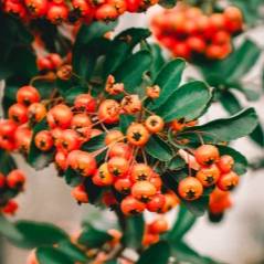 Иконка канала МОМЕНТЫ ИЗ ЖИЗНИ *******