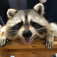 Иконка канала Вкусно и быстро