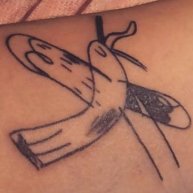 Иконка канала Пернатая хроника