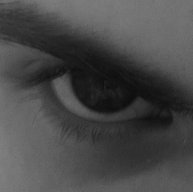 Иконка канала VENOM52