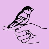 Иконка канала ЛСВР-лучше синица в руке