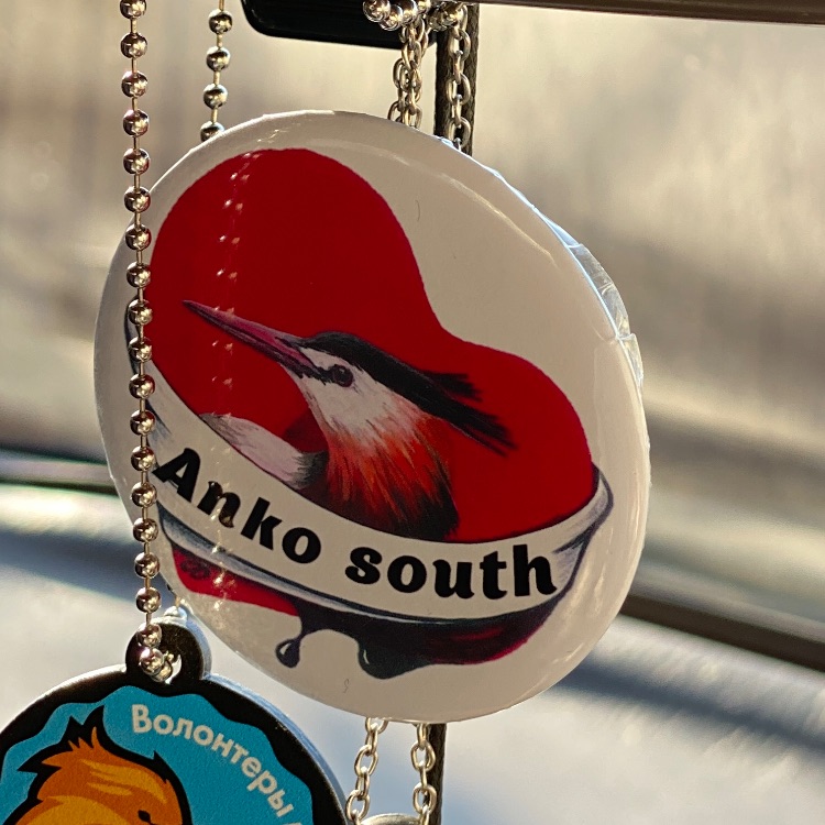 Иконка канала Anko south
