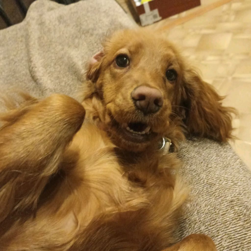 Иконка канала Александр TV