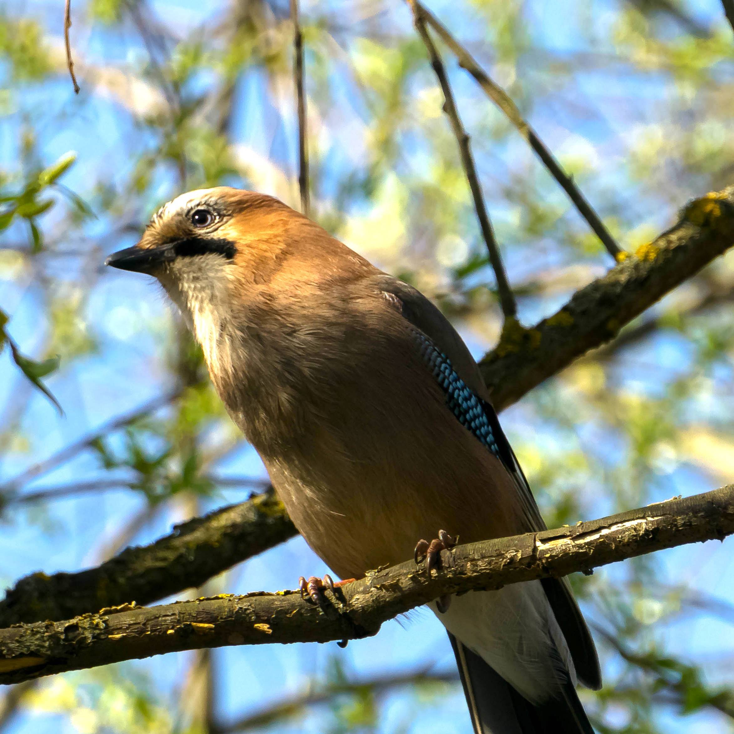 Иконка канала Не просто о жизни