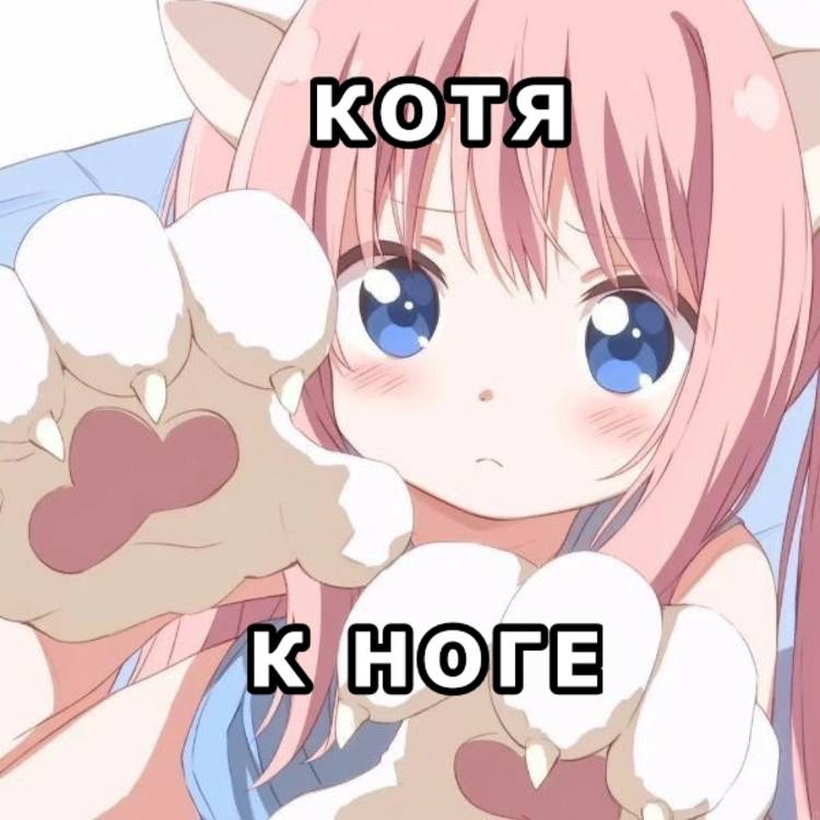 Иконка канала 𝗉𝗋♡︎𝗍𝗍ɥ