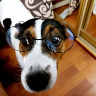 Иконка канала Maykomka✅️