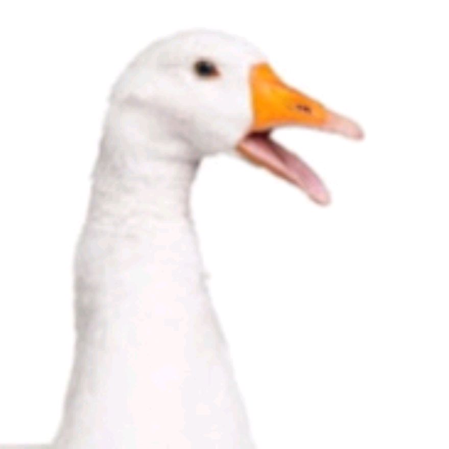 Иконка канала Mrgoose