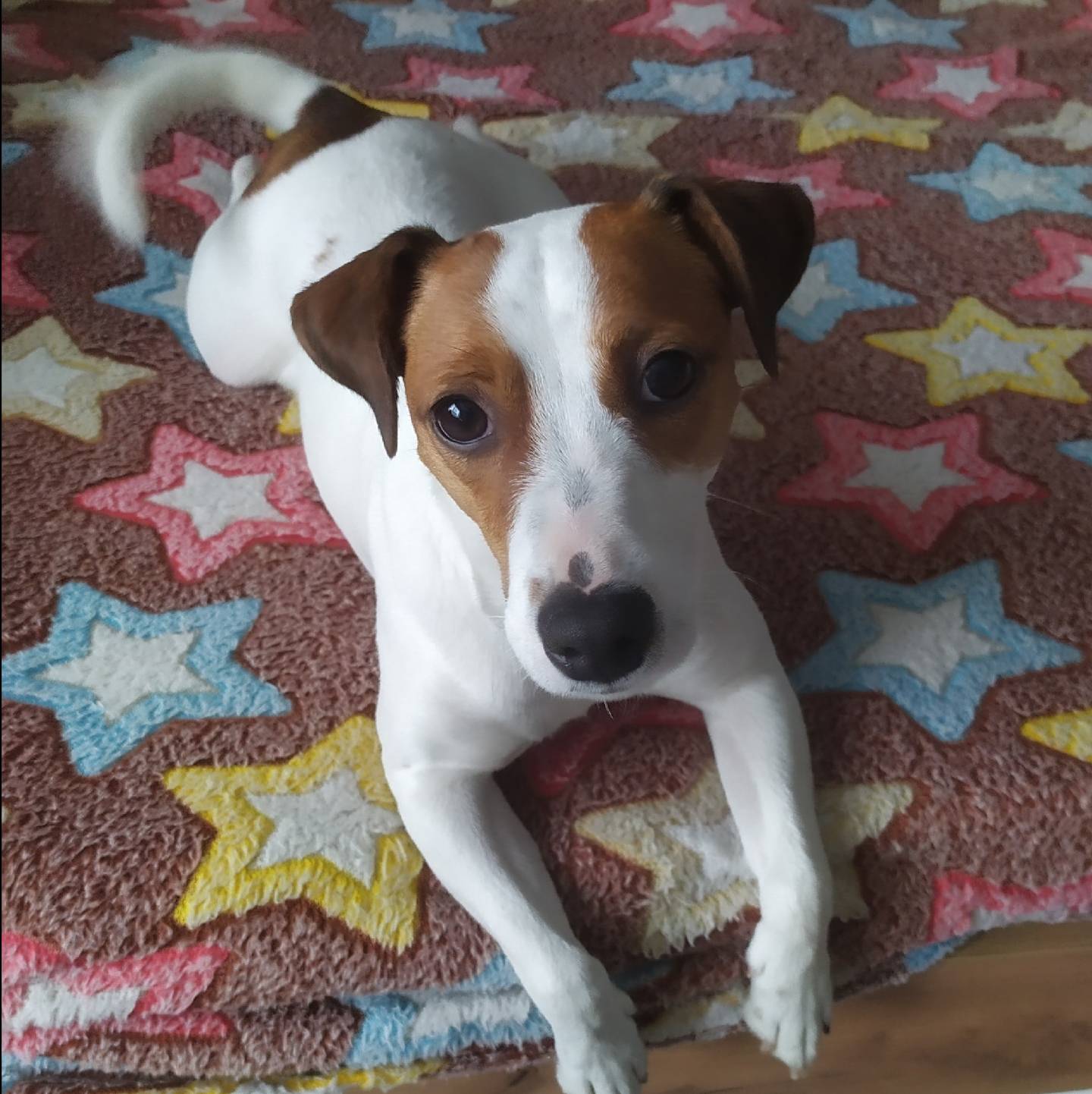 Иконка канала Ася