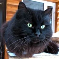 Иконка канала banker_2000