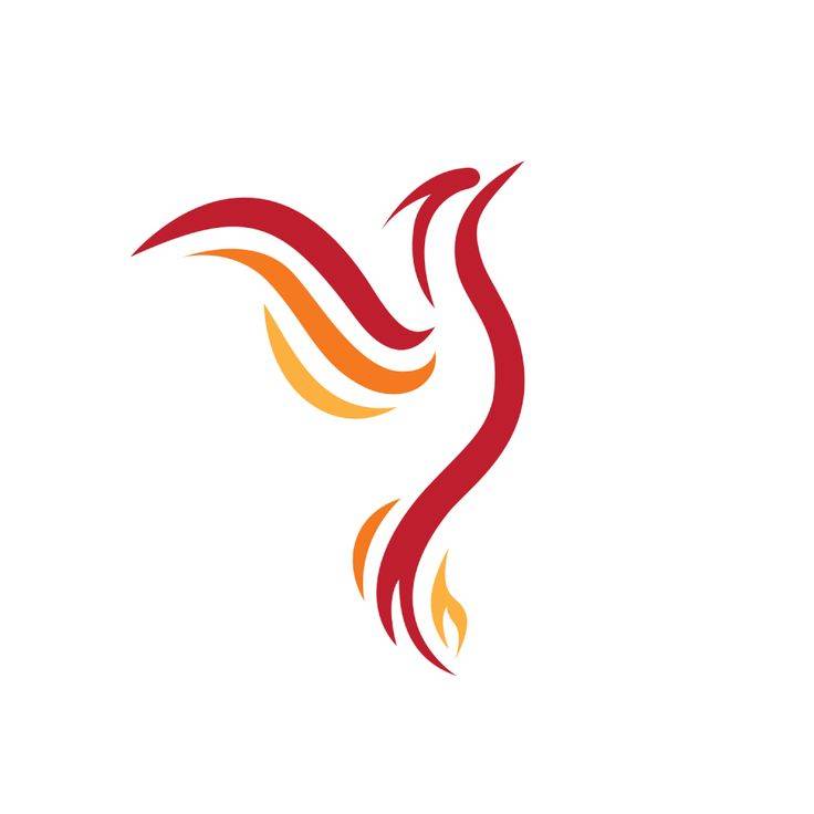 Иконка канала С южной стороны