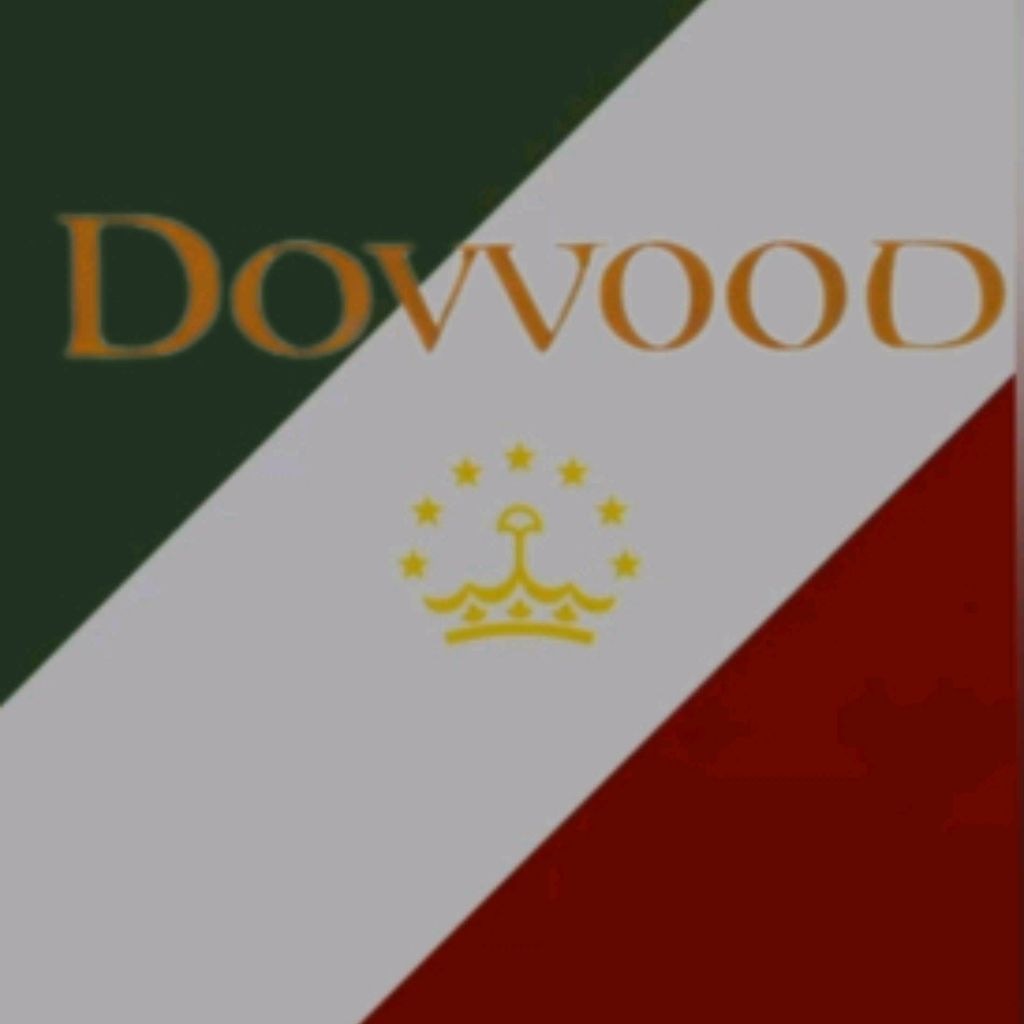 Иконка канала Dowood