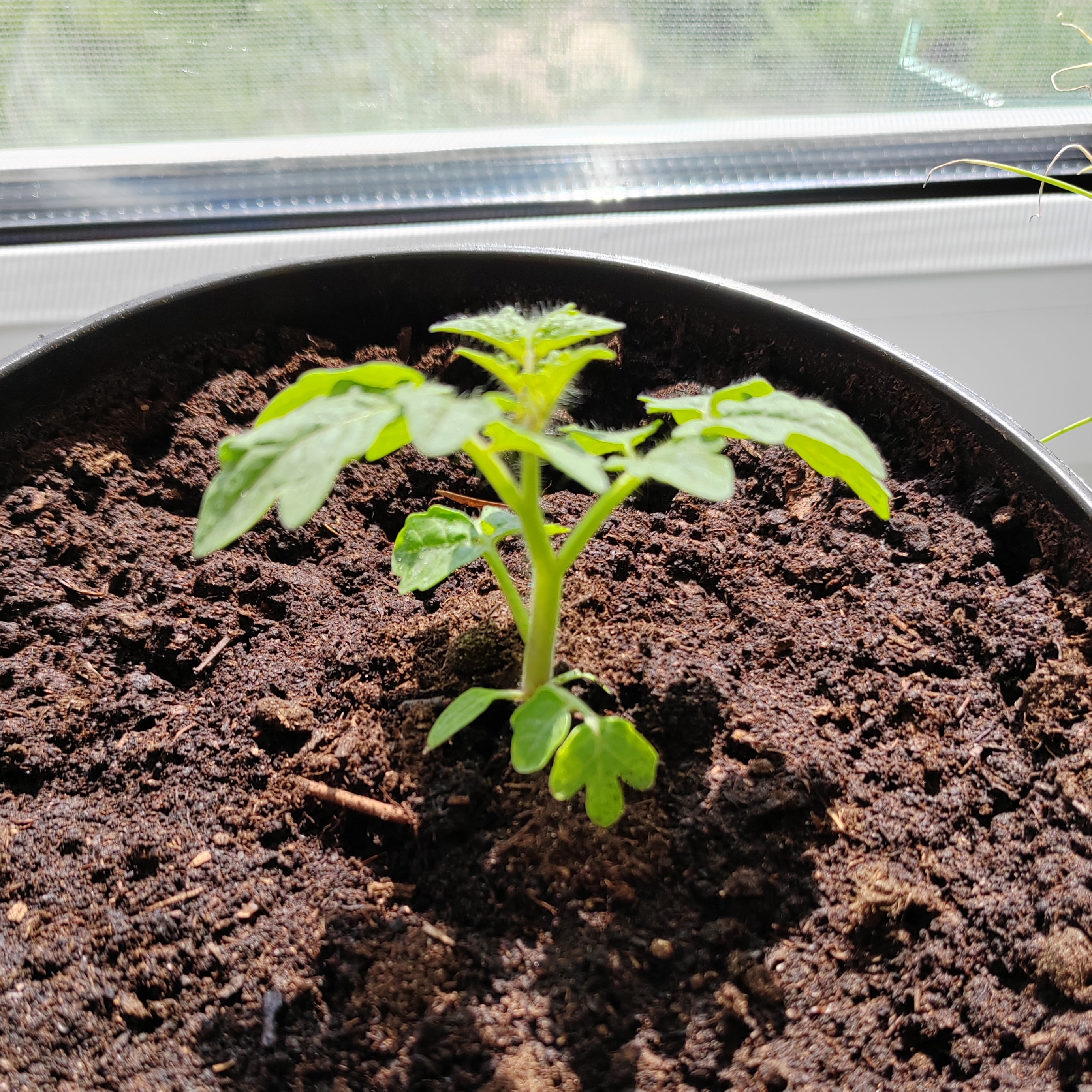 Иконка канала Из города в село