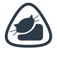 Иконка канала Рекора дизайн