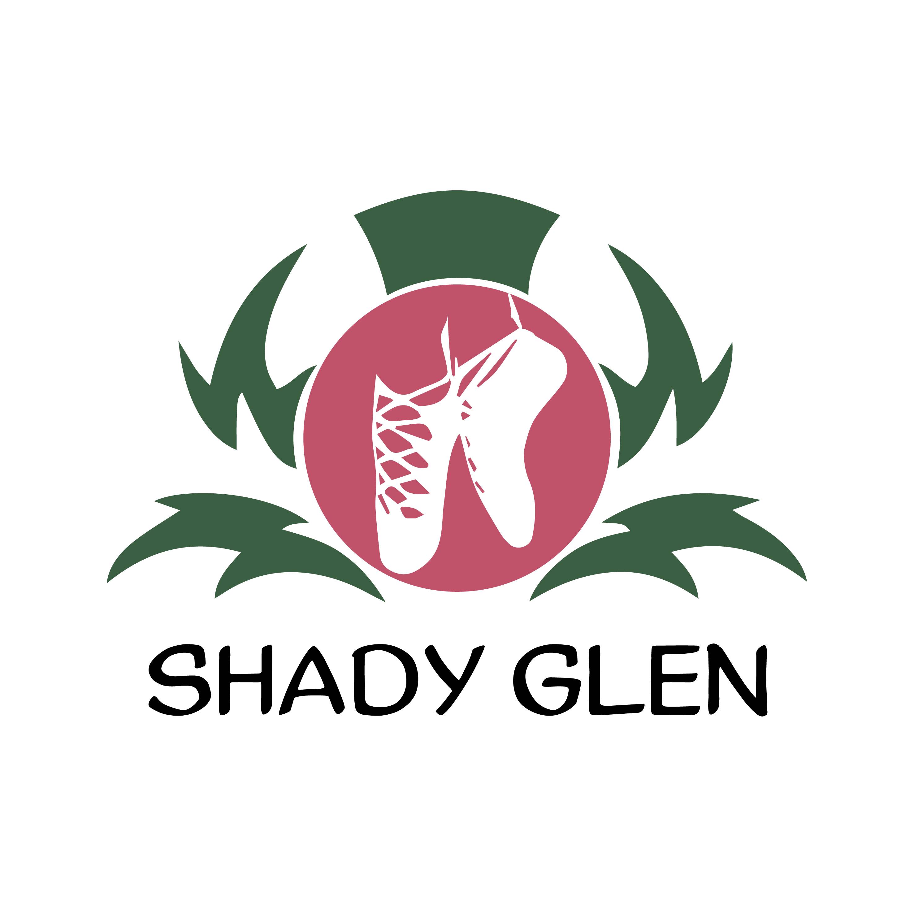 Иконка канала Школа танцев Shady Glen