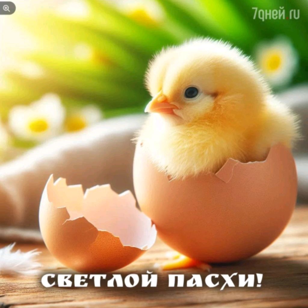 Иконка канала Настя Кэт
