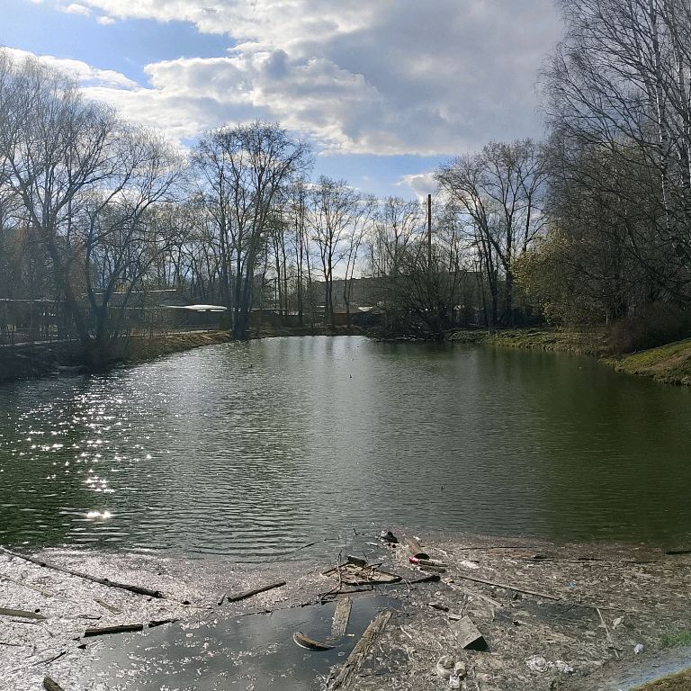 Иконка канала FrV_rizen