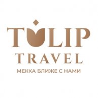 Иконка канала Tulip Travel