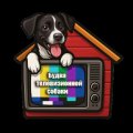 Иконка канала budka_TV_sobaki