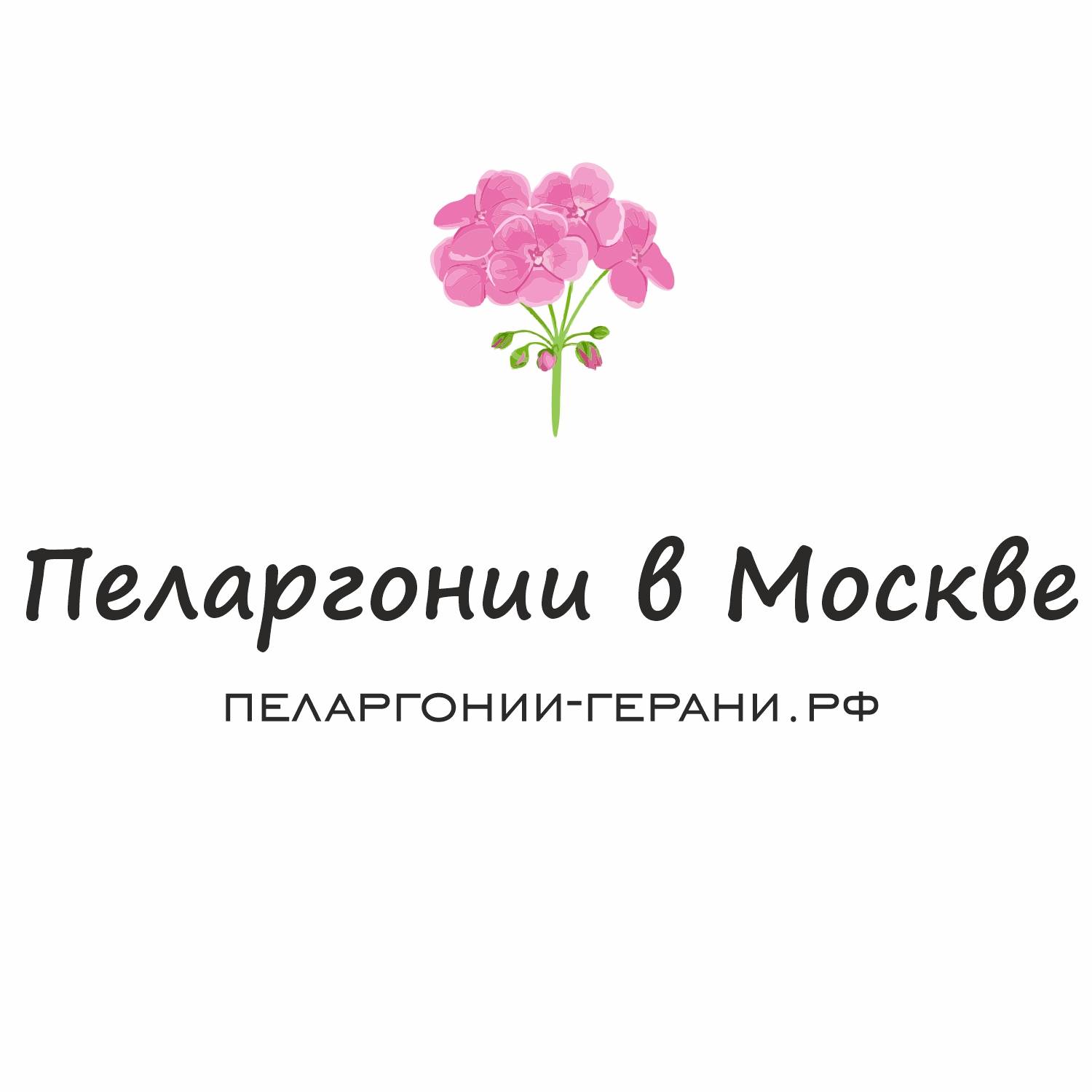 Иконка канала Пеларгонии в Москве