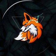 Иконка канала DJ Лис 🦊