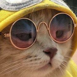 Иконка канала оля